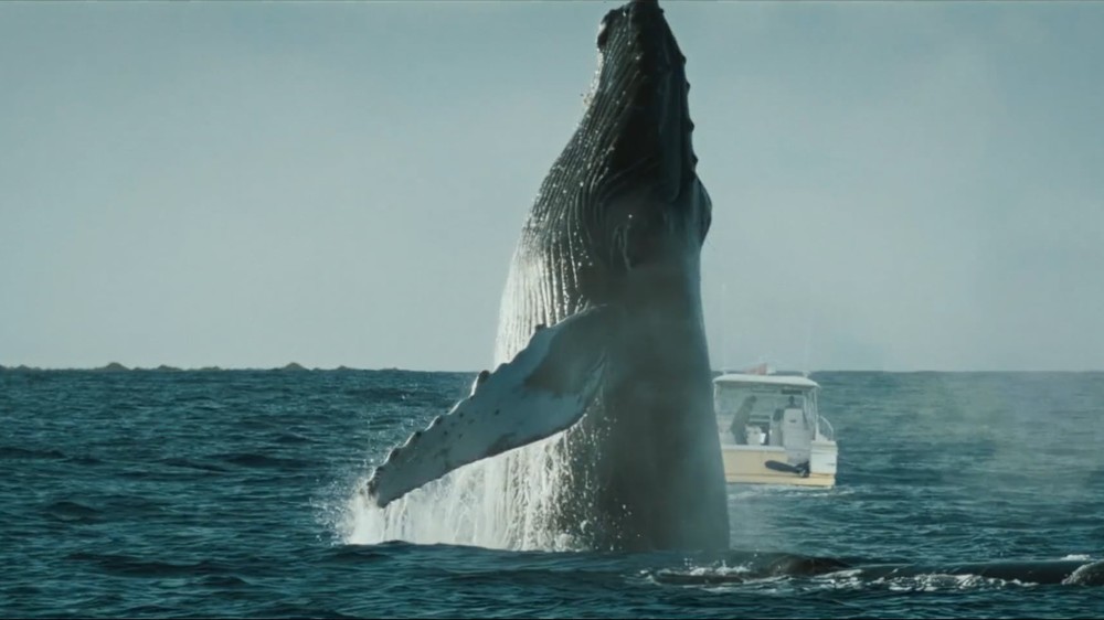 The Swarm - Clip 3 [en] - Cineuropa