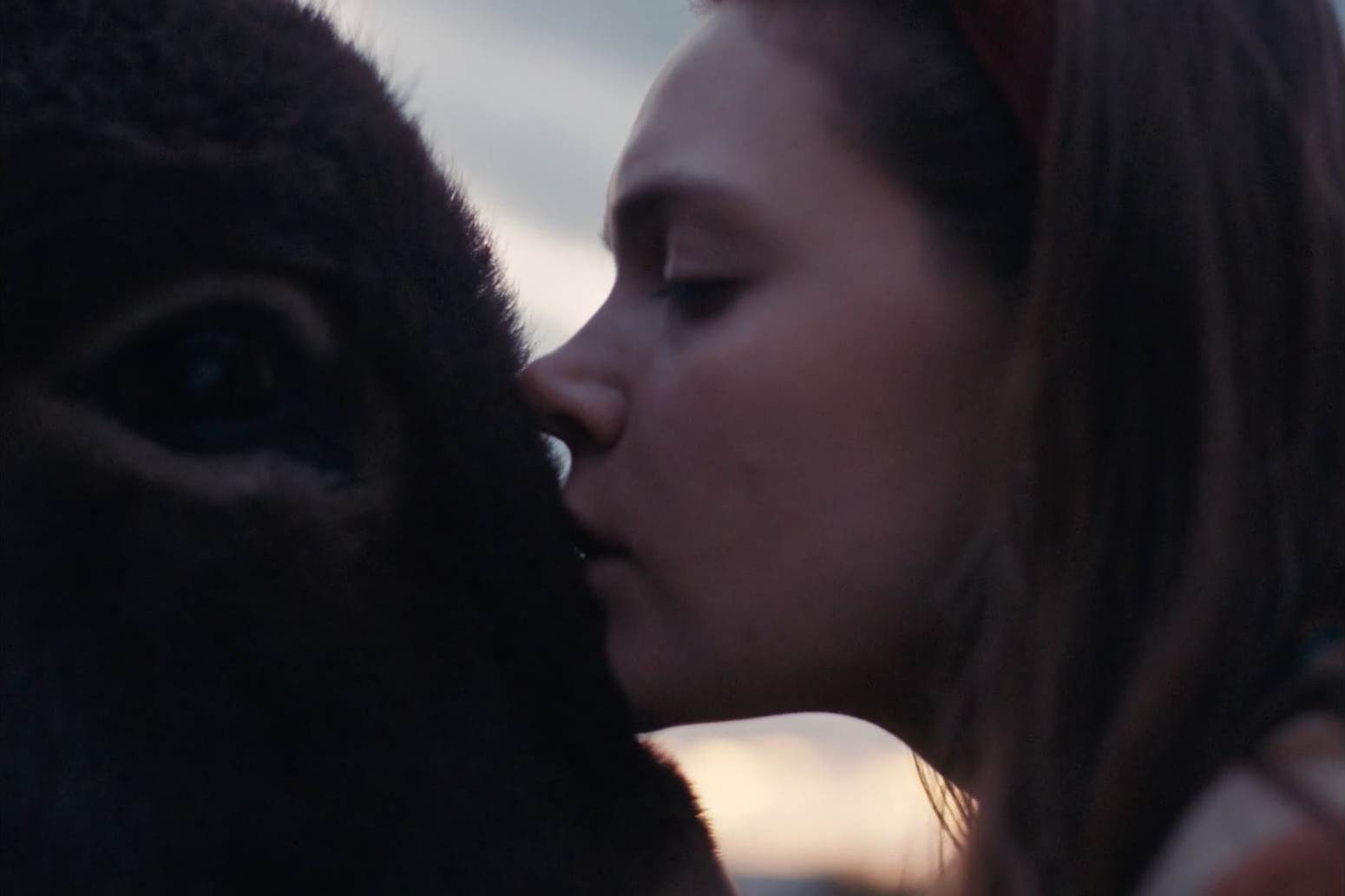 EO - Trailer [es] - Cineuropa