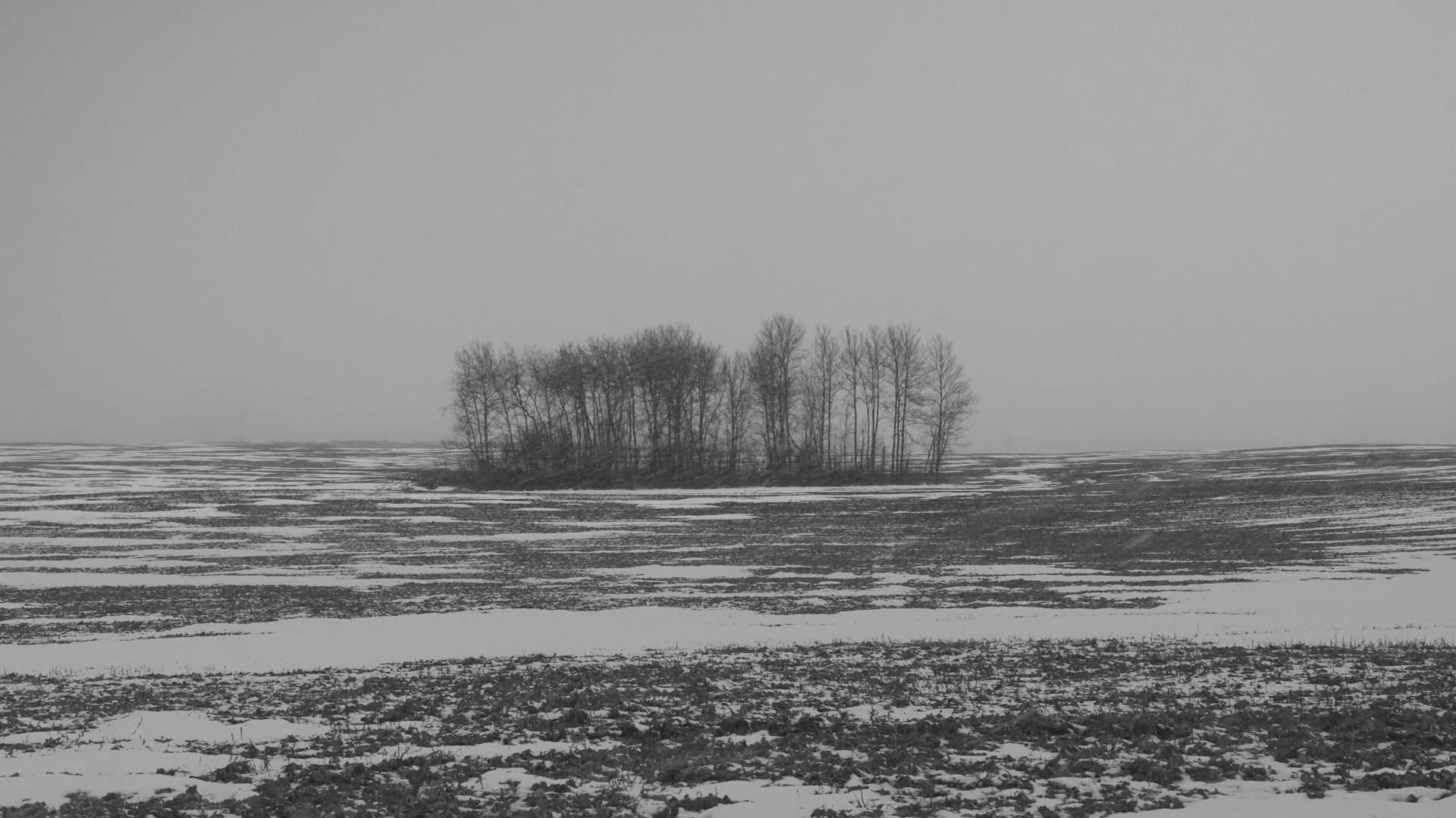 Mother Vera - Tráiler [blr-fr-ita st en] - Cineuropa