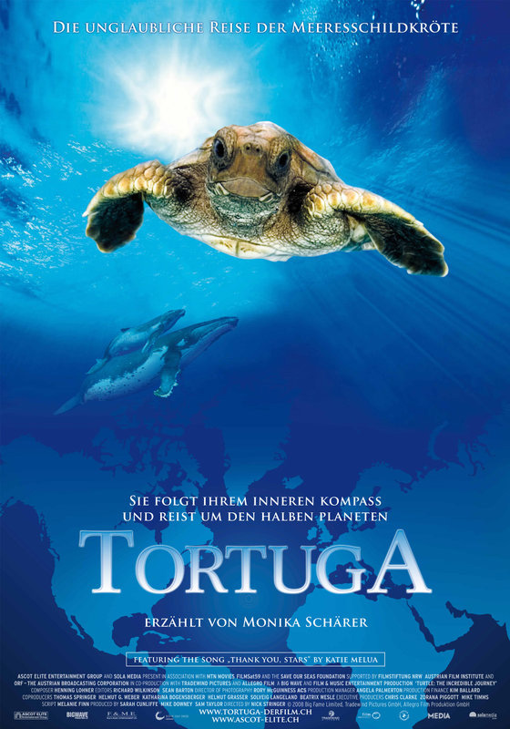 Turtle: The Incredible Journey - Cineuropa