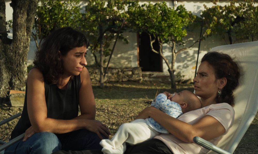 Ordinary Time: A contemplative film in breakneck times - Cineuropa