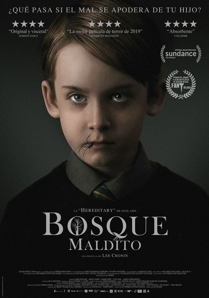 Bosque maldito (The Hole in the Ground) - Cineuropa
