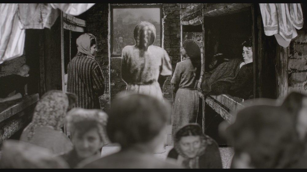 Review: Love It Was Not - Cineuropa