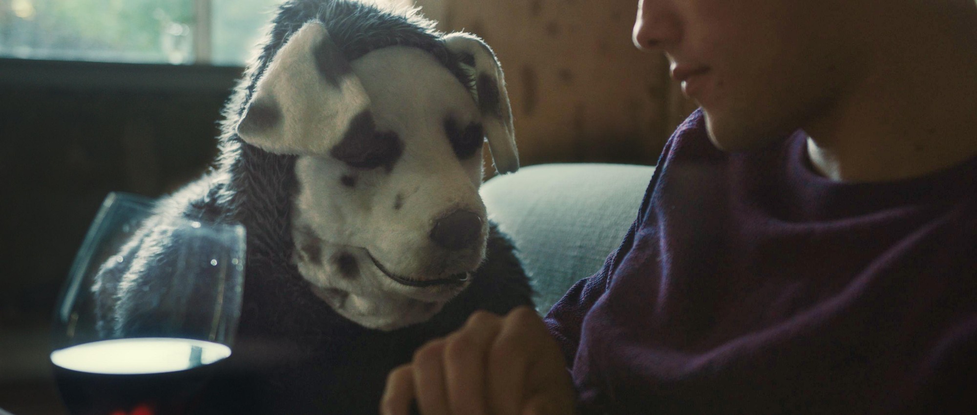 Good Boy - Cineuropa