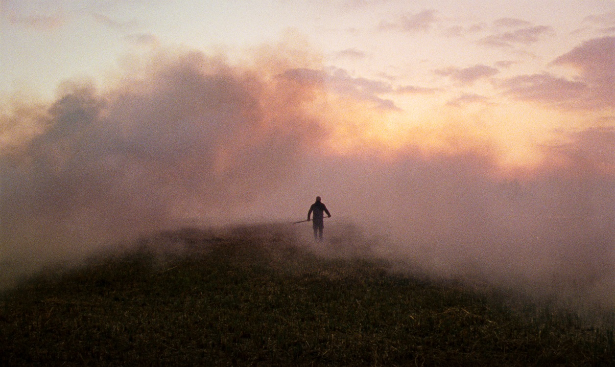 Critique : Reedland - Cineuropa