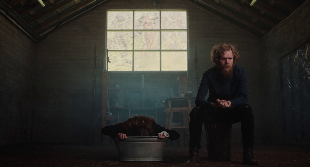 Review: Owls - Cineuropa