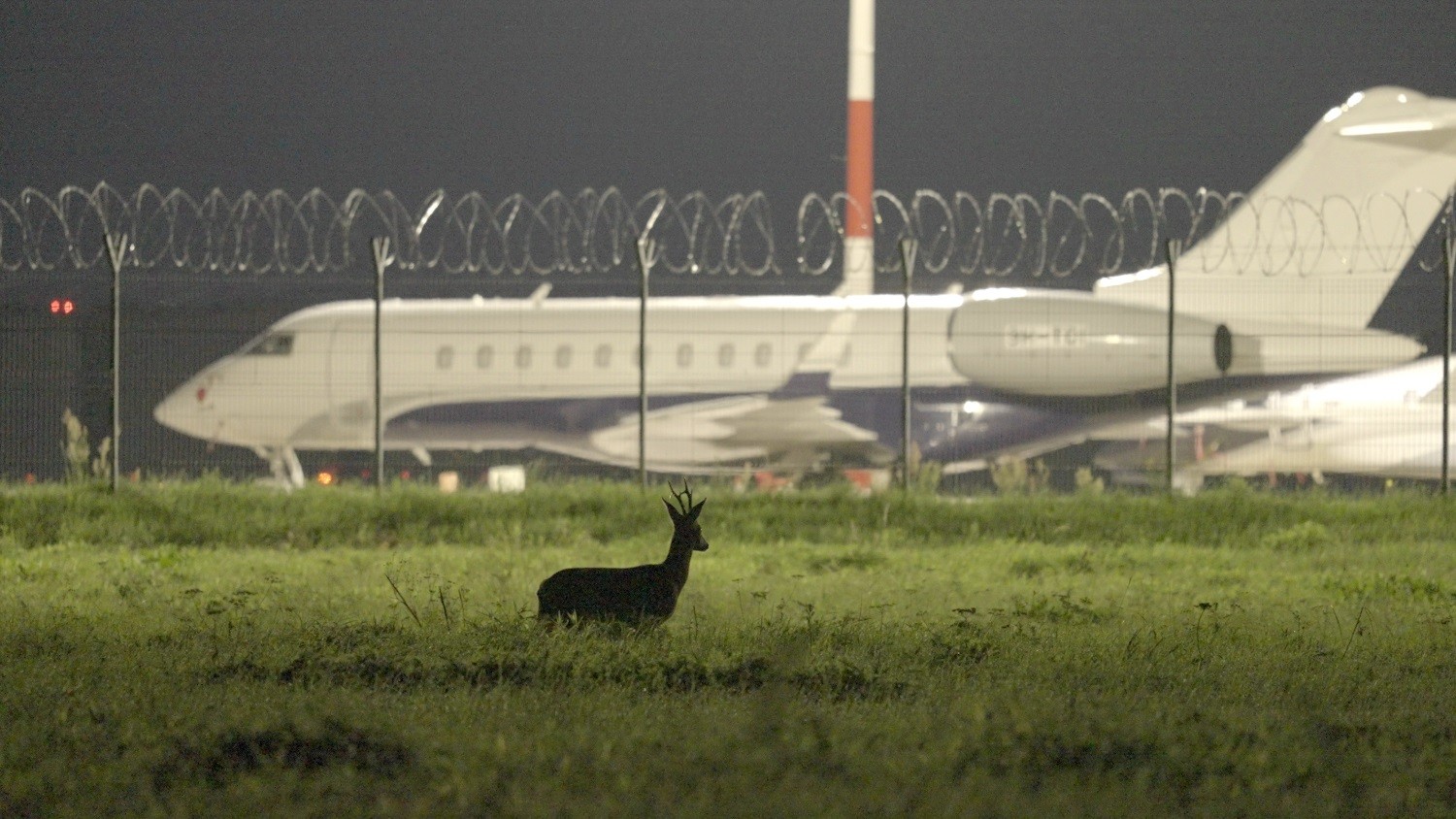 East Doc Platform announces its 2022 projects - Cineuropa