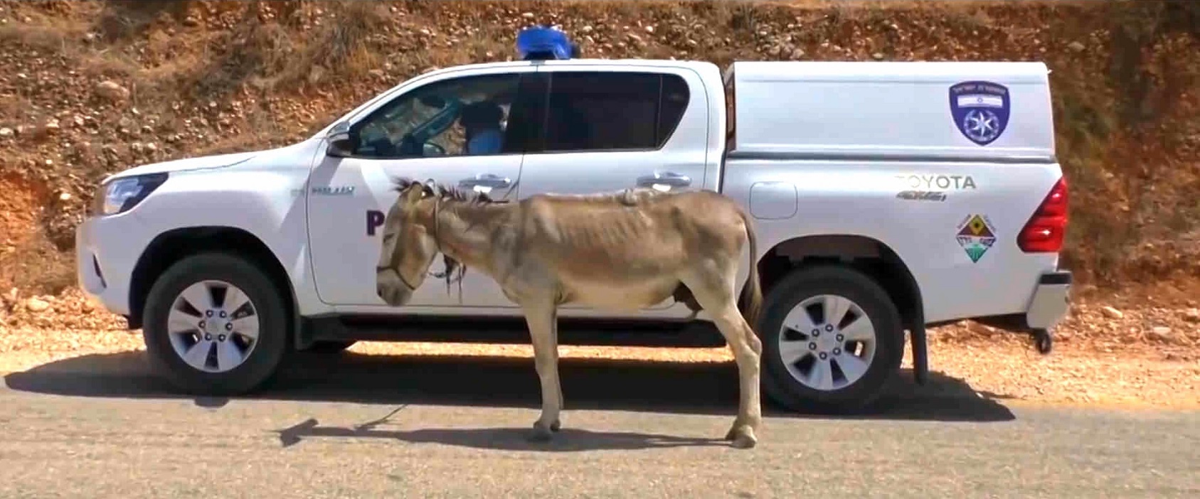 Review: Figure-Ground - Cineuropa