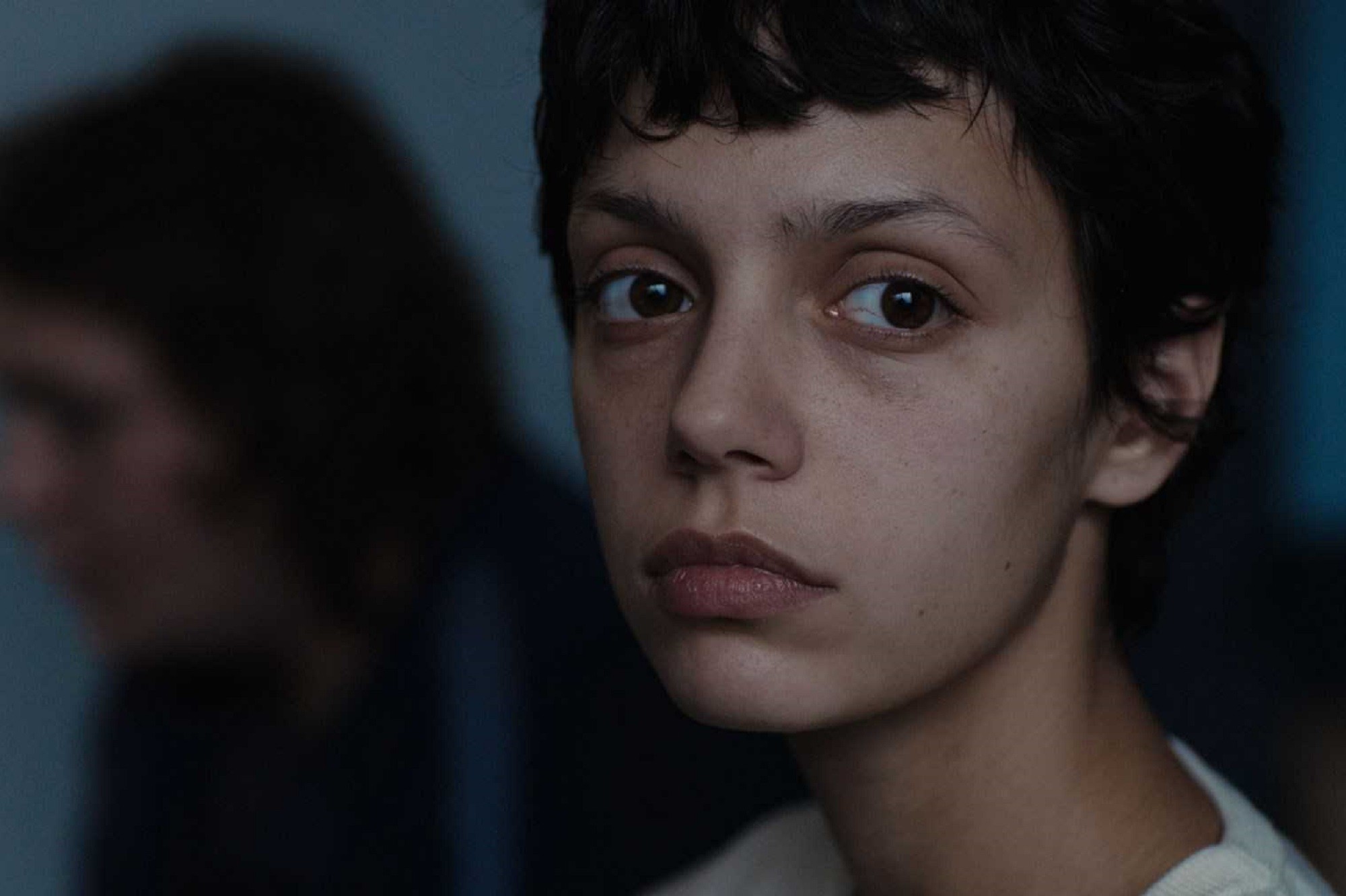 Review: First Case - Cineuropa