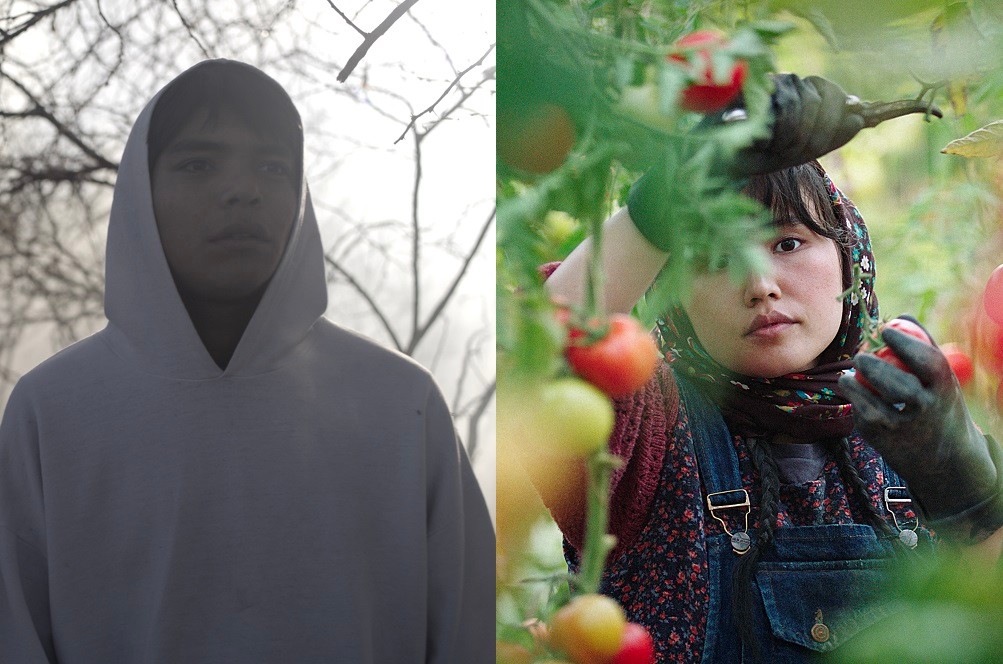 Alpha Violet heads to Sundance with two aces up its sleeve - Cineuropa