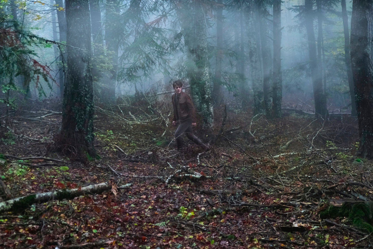 Les Films du Losange to boast a six-star line-up in Cannes - Cineuropa