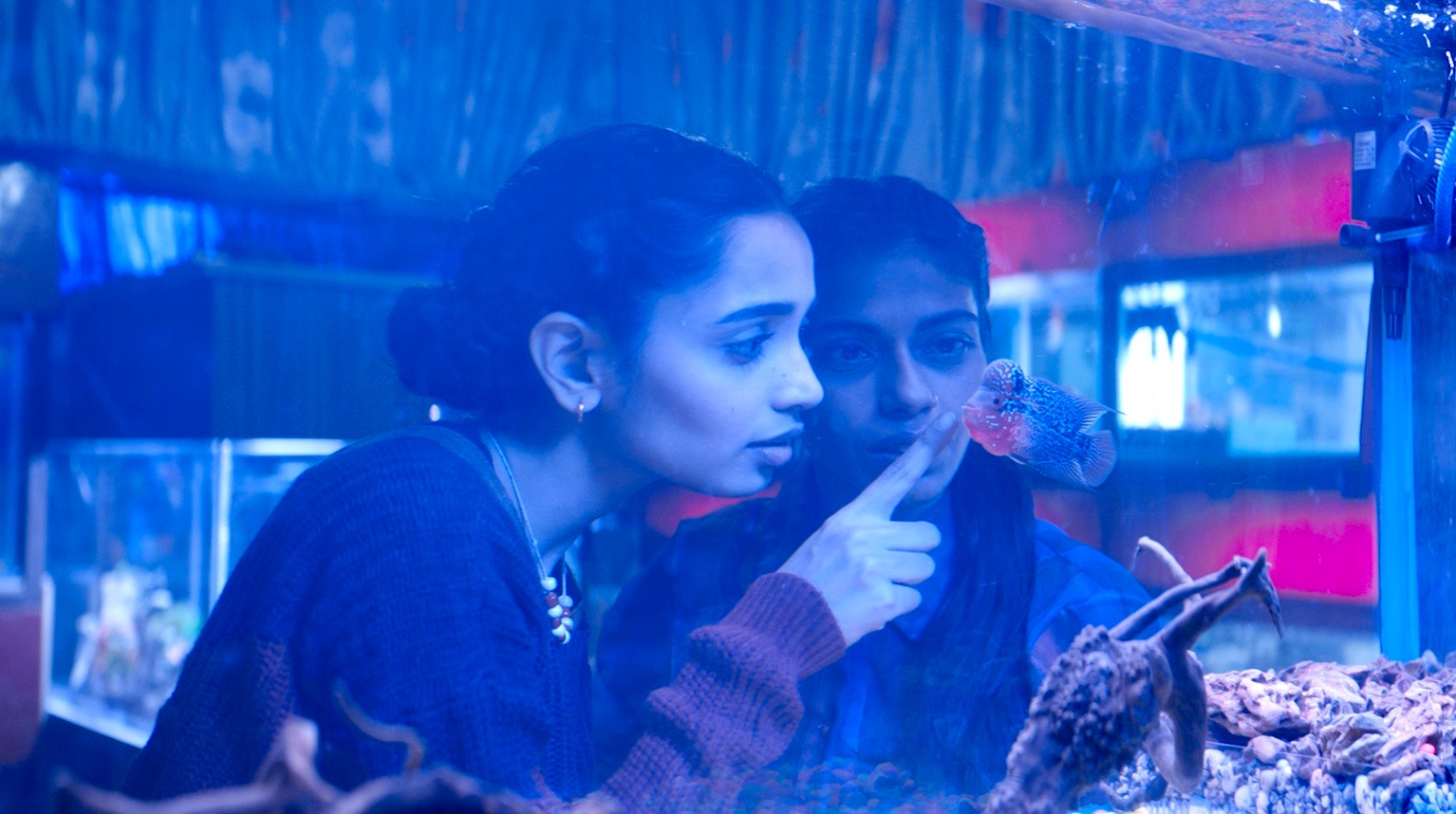 Review: The Shameless - Cineuropa