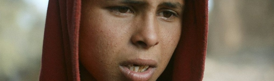 20 European films we’re anticipating in 2024 - Cineuropa