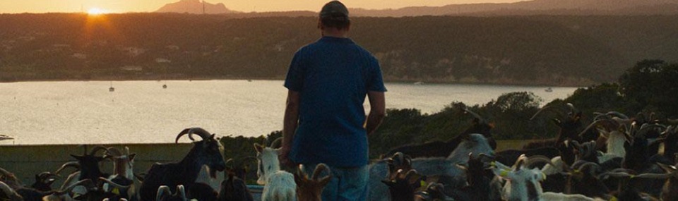 Cristian Mungiu’s Fjord starts shooting in Norway - Cineuropa