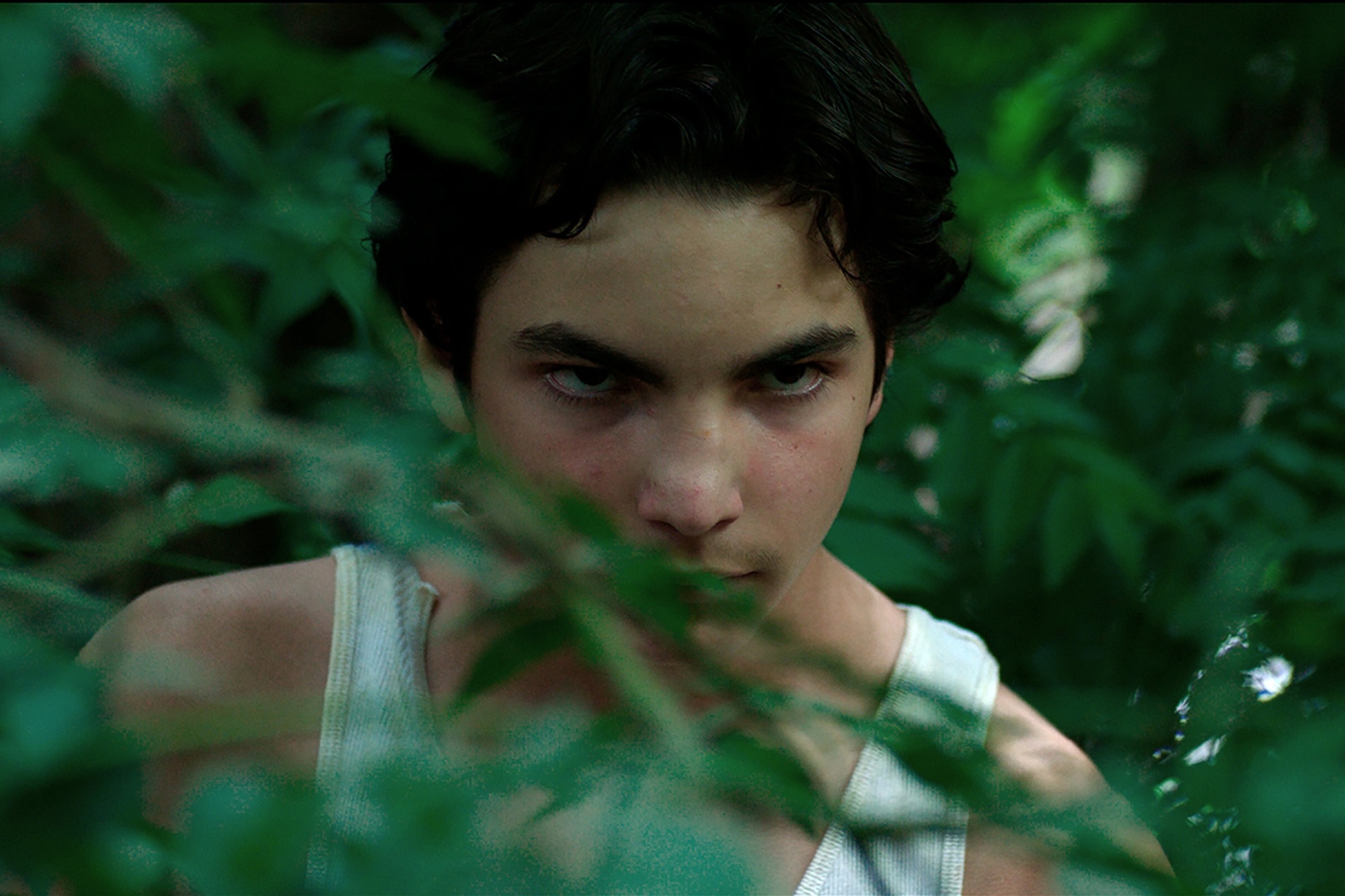 Review: Zafari - Cineuropa