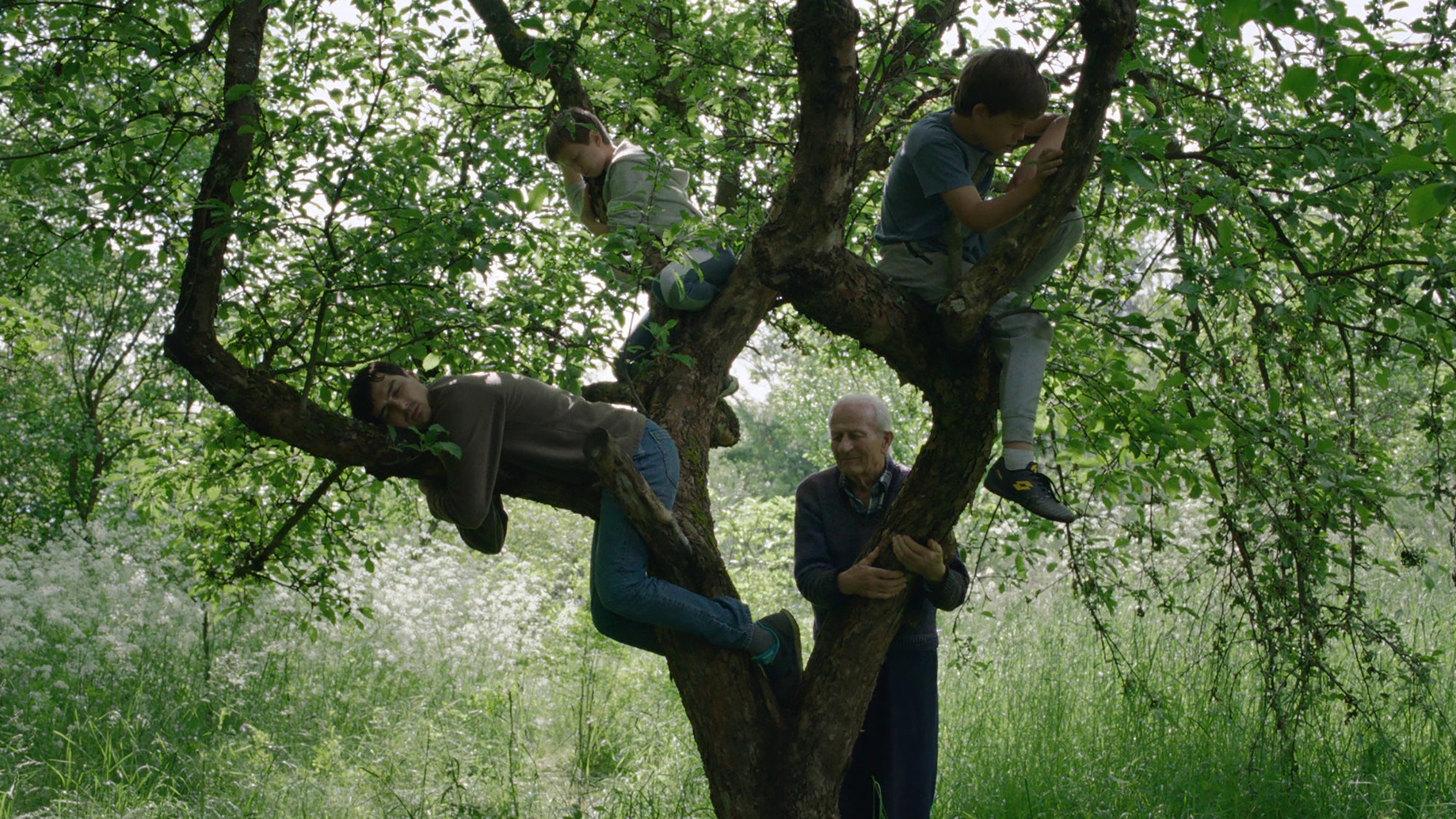 ESCLUSIVA: Il poster di Wind, Talk to Me, selezionato all'IFFR nel ...