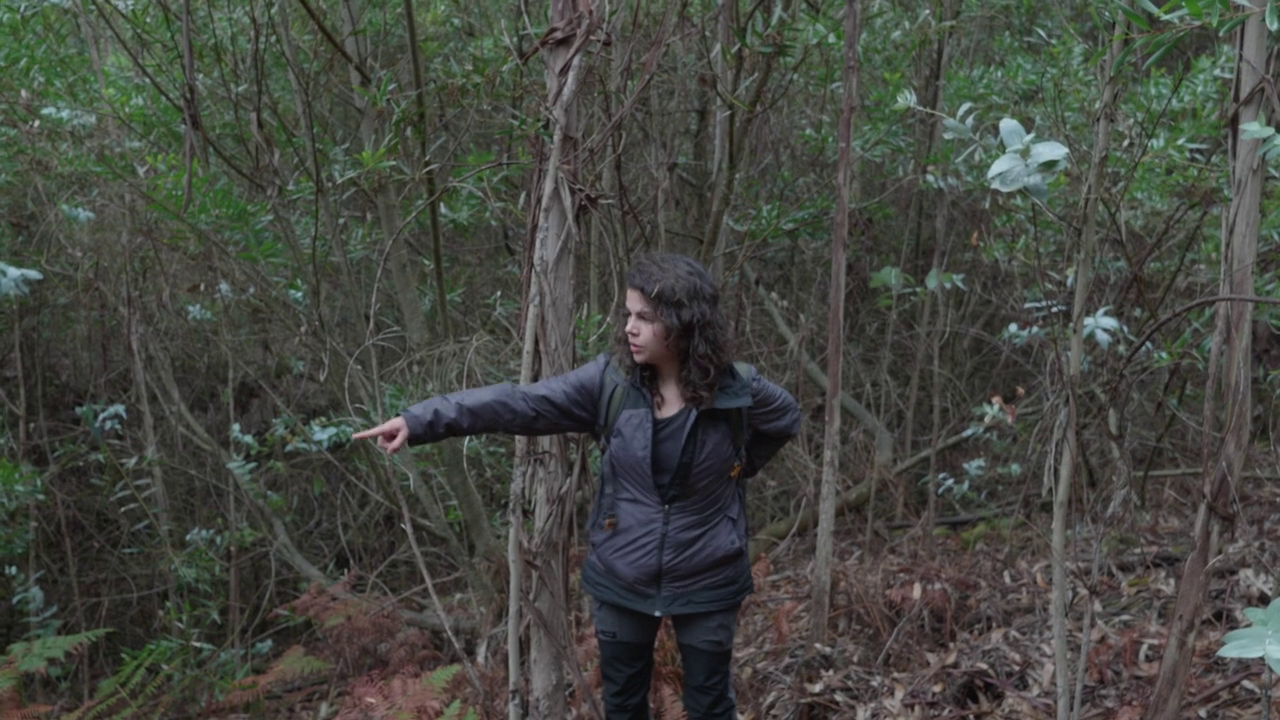 Wild, Wild - Trailer [es] - Cineuropa