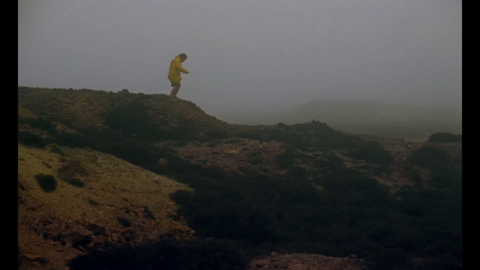 Mare’s Nest - Tráiler - Cineuropa