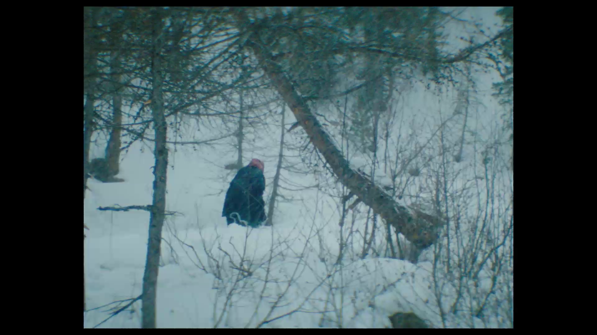 The Girl in the Snow - Trailer [fr] - Cineuropa